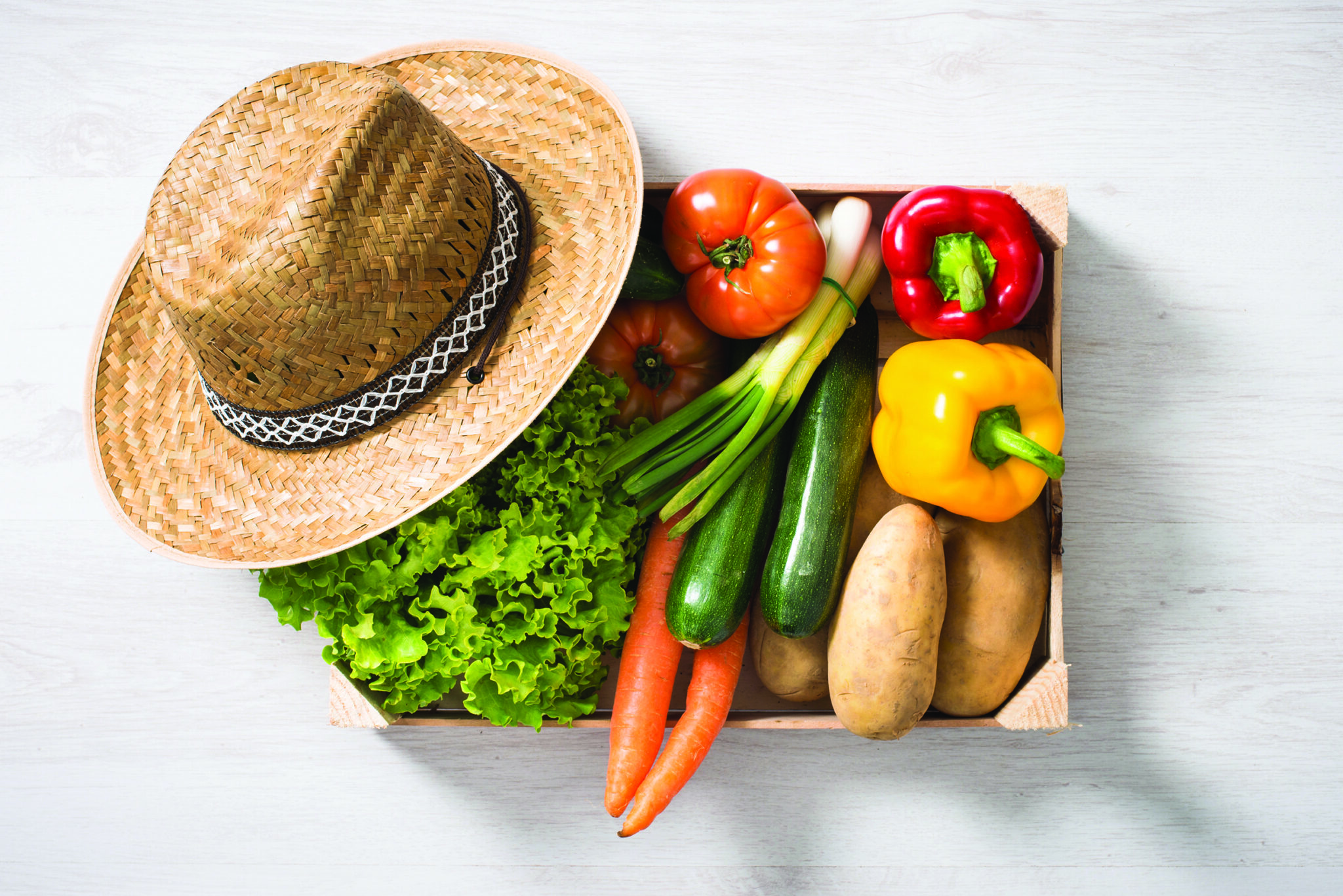 Support Local Farmers - Diverse Power